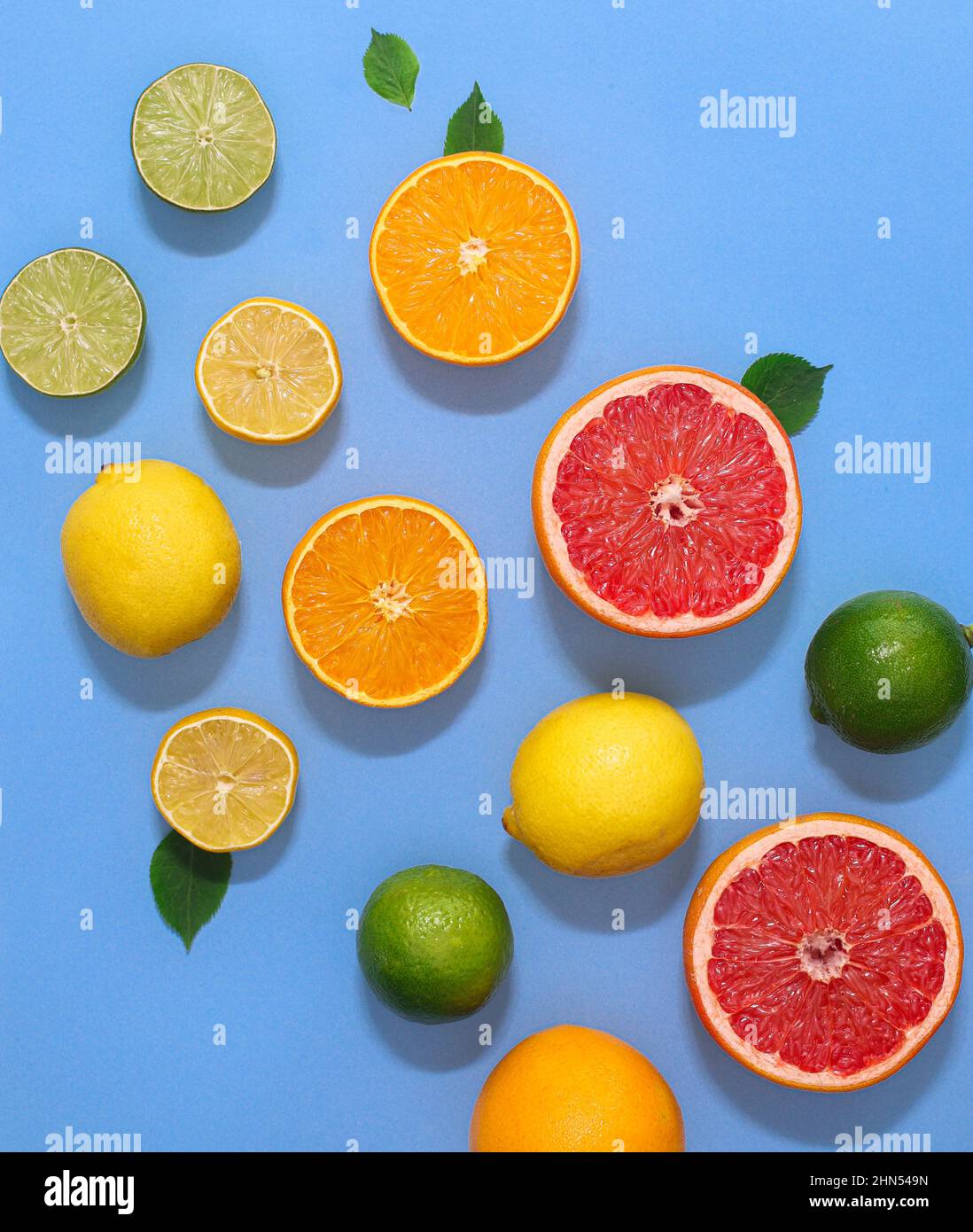 Summer composition of different citrus fruits arranged on pastel blue ...