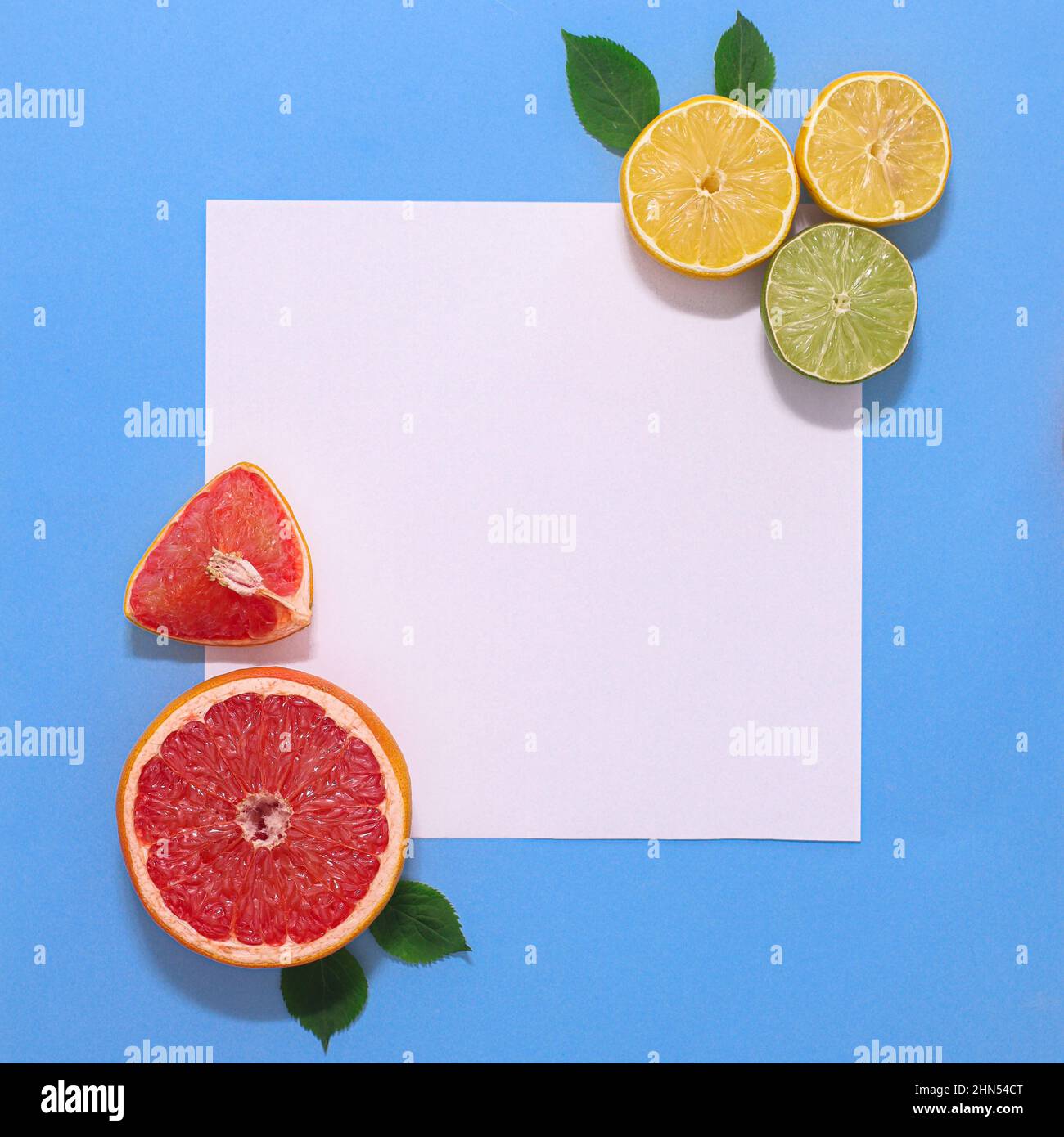 Creative paper card note with sliced citrus fruits on pastel blue ...