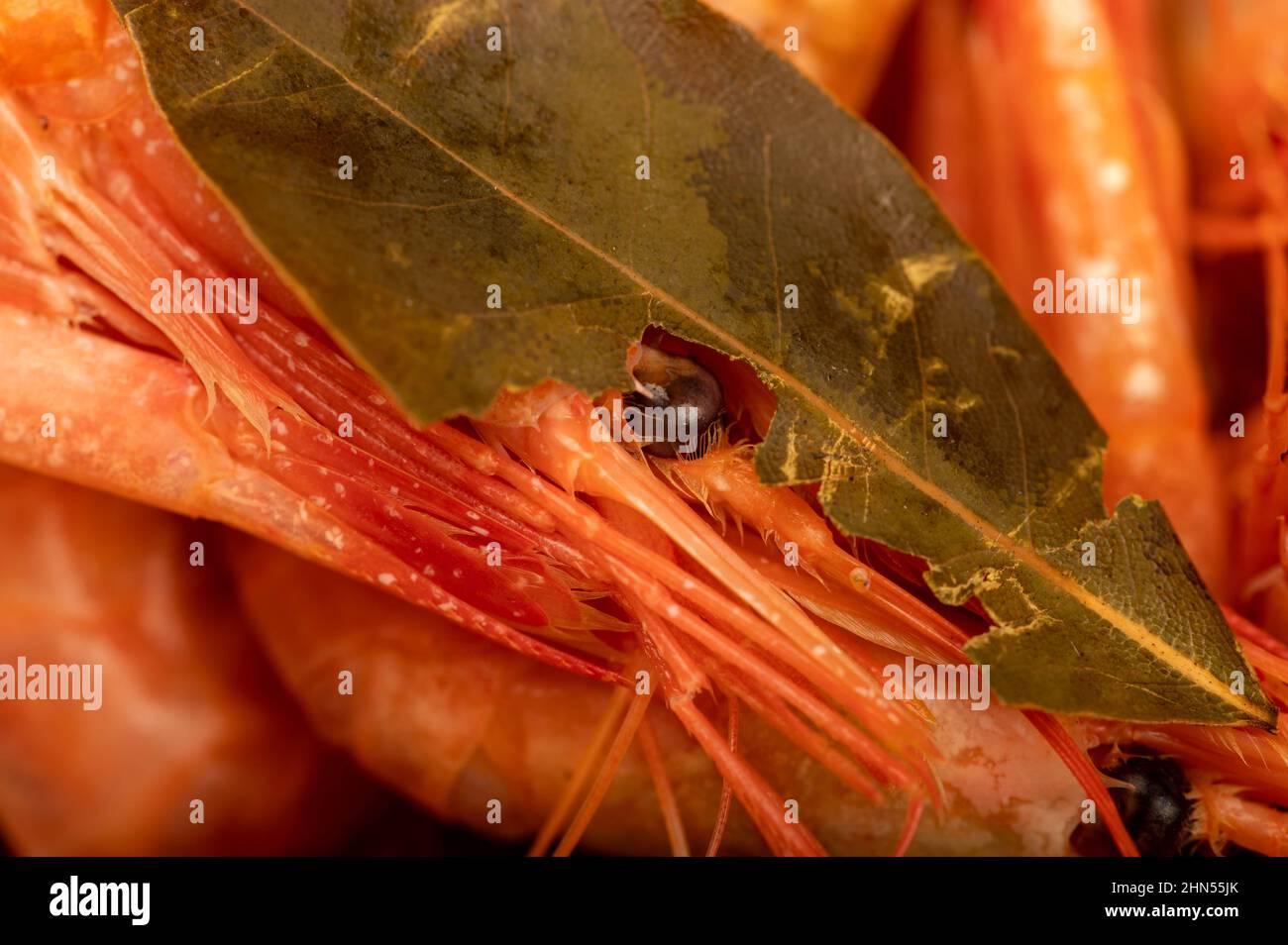 Atlantic shrimp cooked with allspice and bay leaf close-up, surface ...