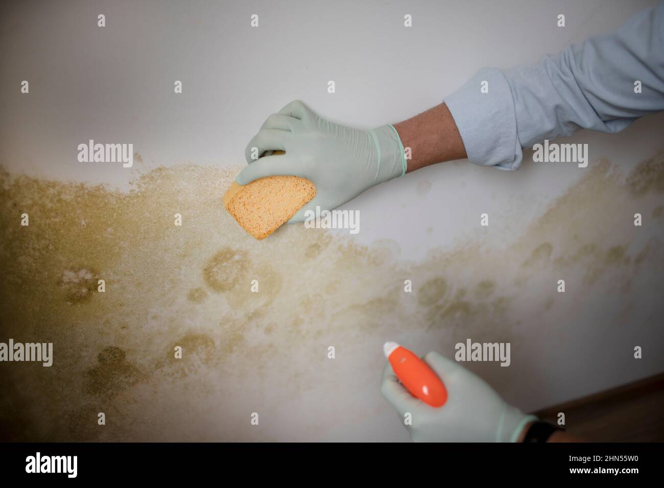Man with protective mask tries to remove mold on wall with sponge and ...
