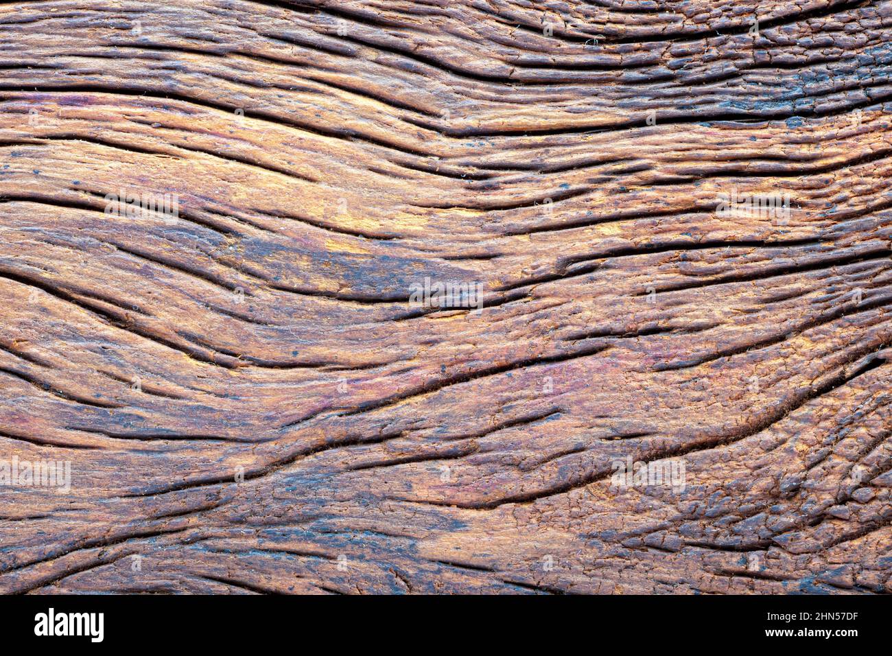 Background and texture, wooden door Stock Photo - Alamy