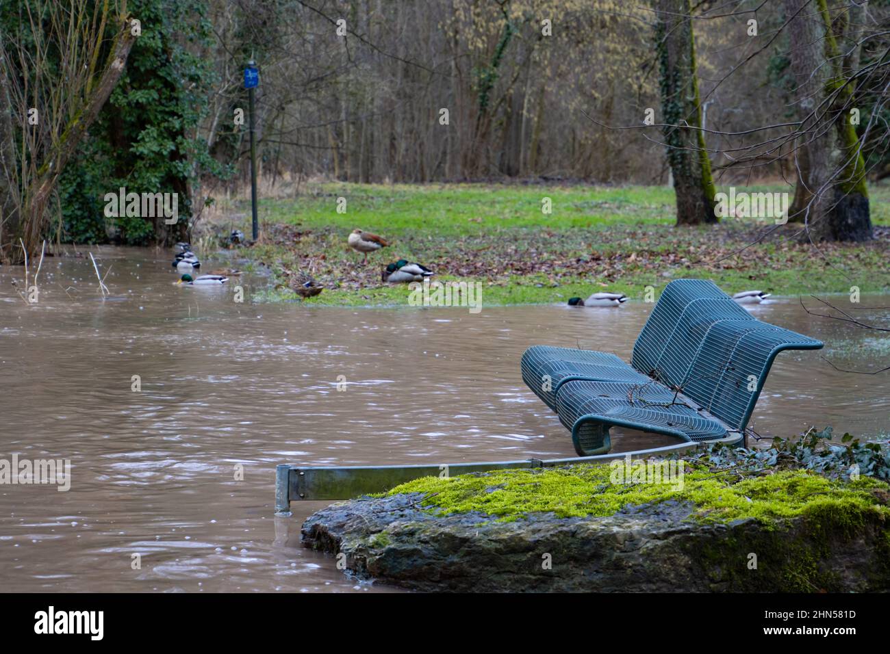 Walkway and bench flooded by a river with muddy water Stock Photo - Alamy