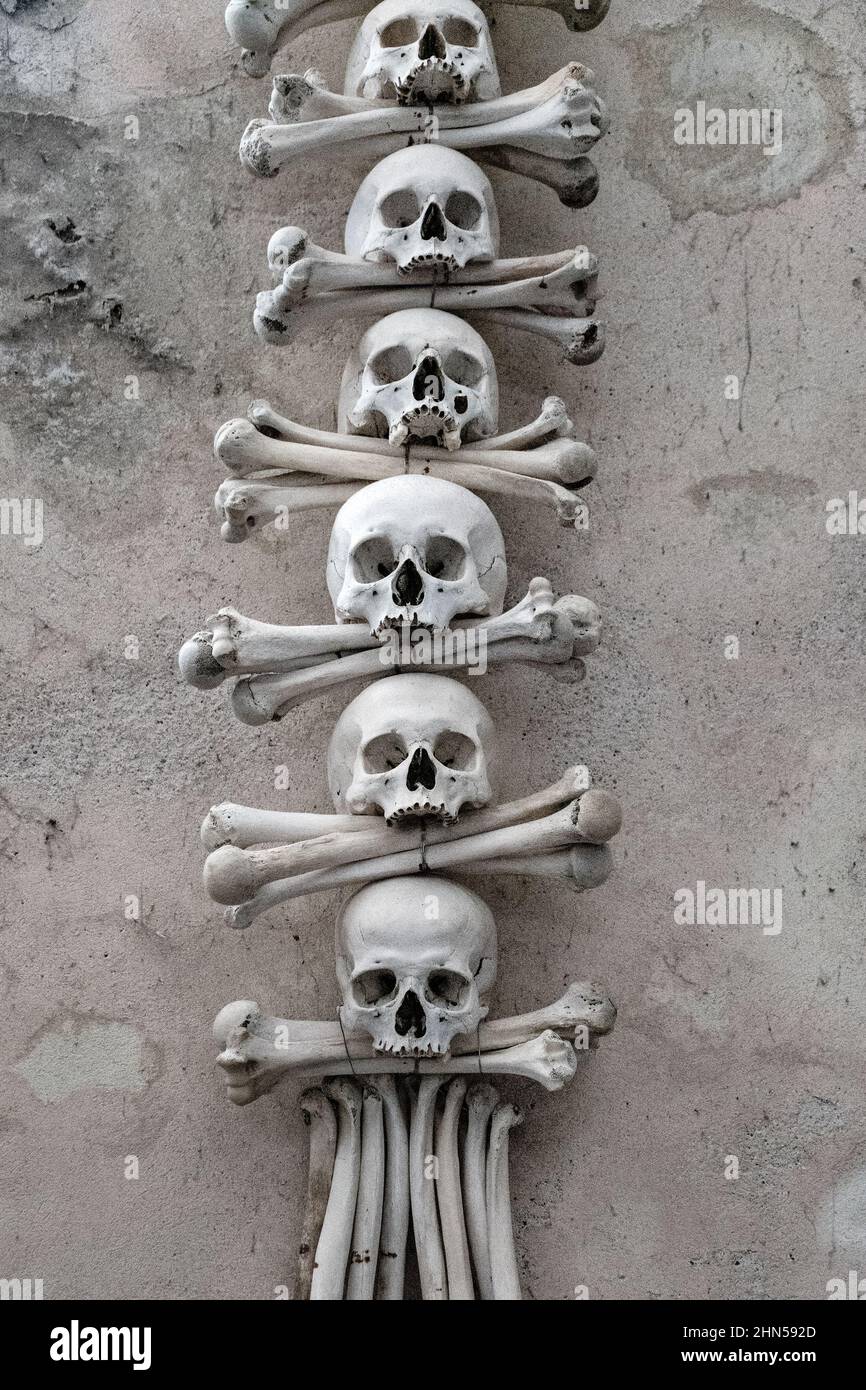 Czech crypt. Czech. Human body bones set. The grave. Area of the czech ...