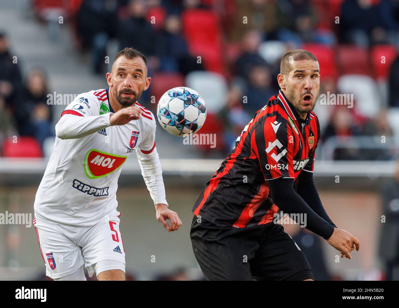 Nenad lukic hi-res stock photography and images - Alamy