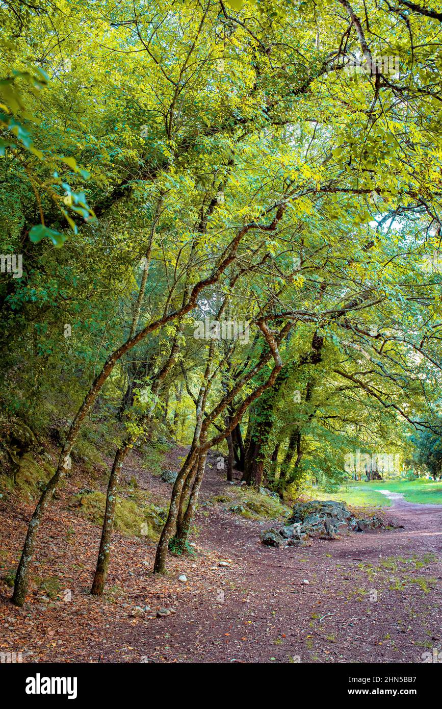 Souce des Nayes, Saint Zaccharie, Var France Paca Stock Photo - Alamy