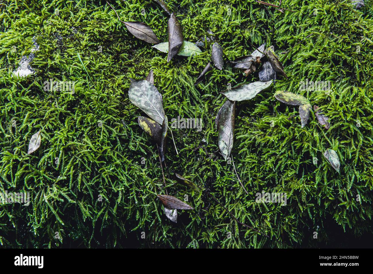 Souce des Nayes, Saint Zaccharie, Var France Paca Stock Photo - Alamy