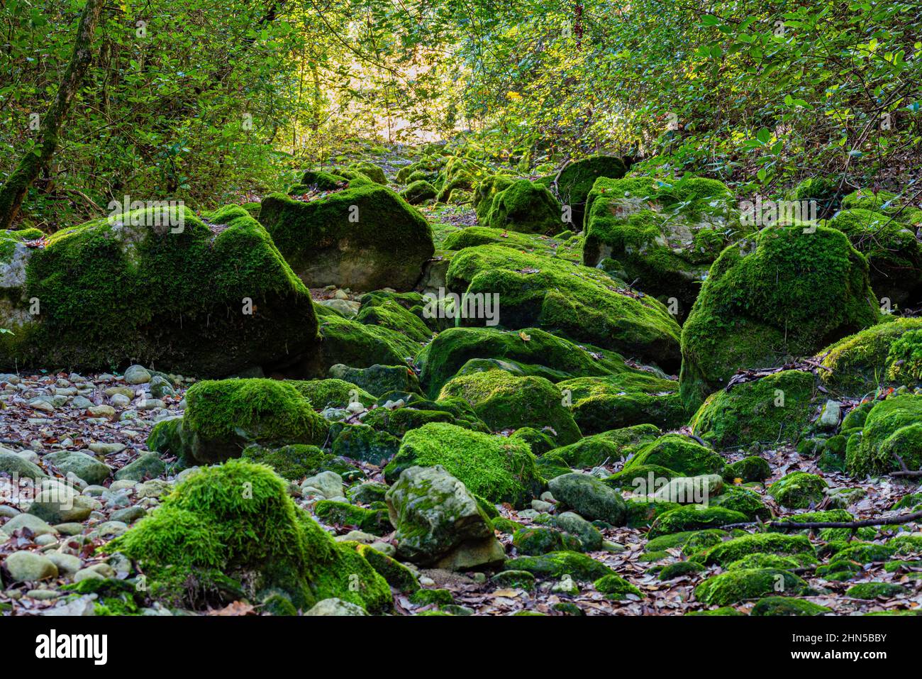 Souce des Nayes, Saint Zaccharie, Var France Paca Stock Photo - Alamy