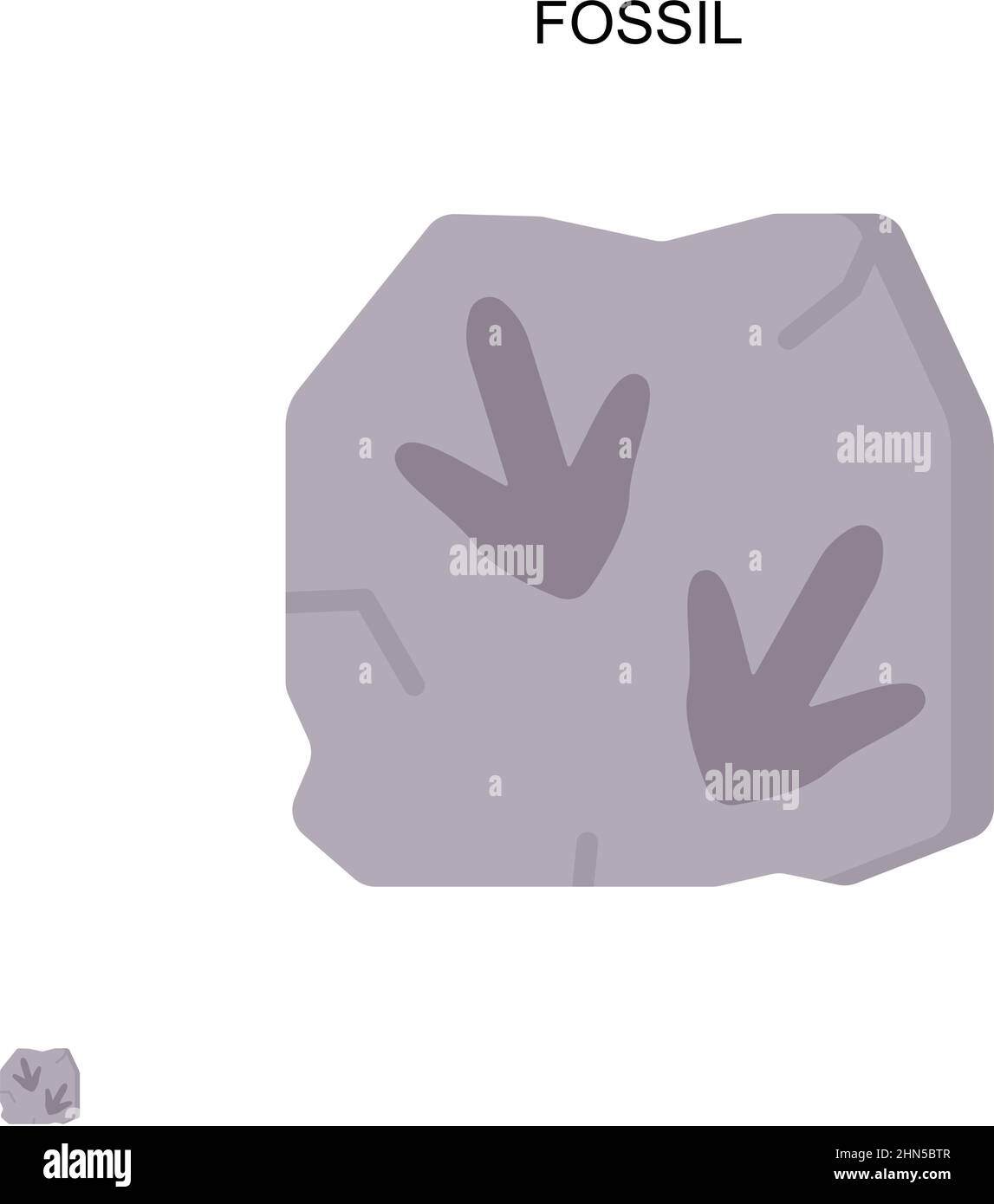 Ammonite fossil design Stock Vector Images - Alamy