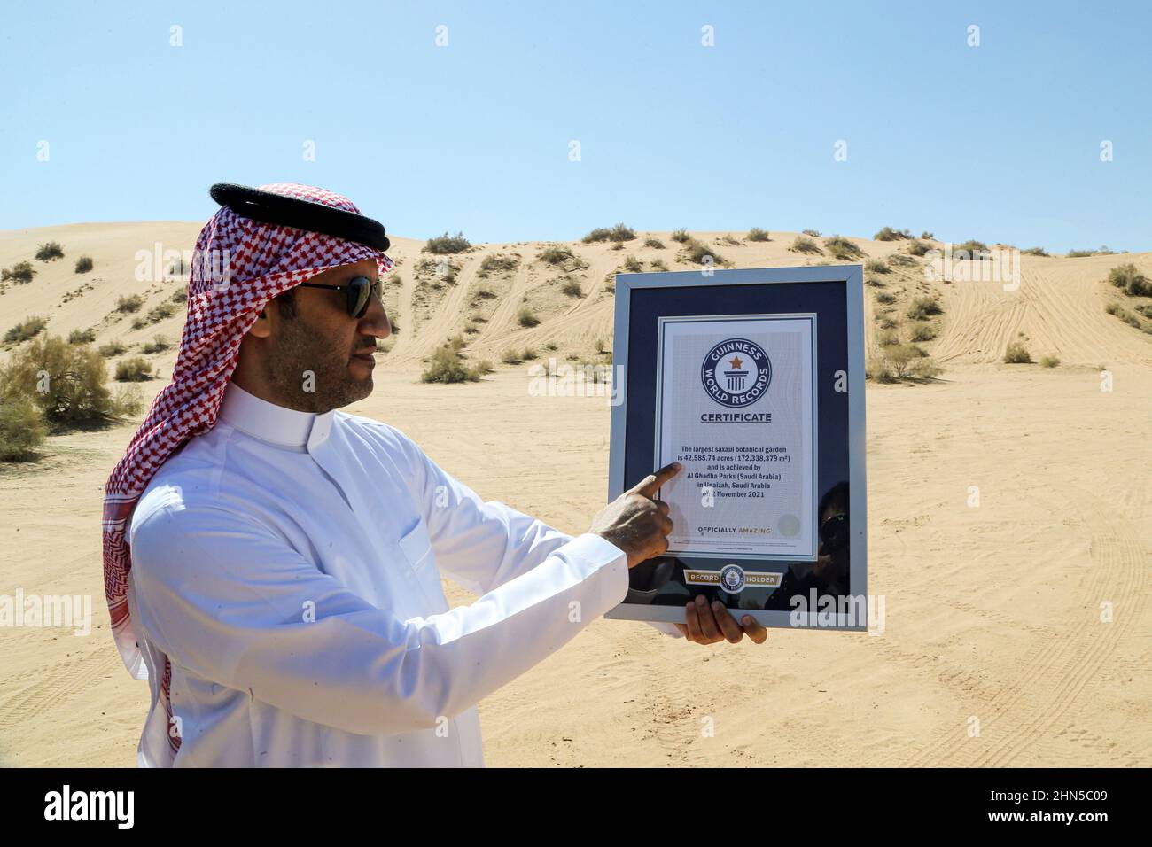 Saxaul trees hi-res stock photography and images - Alamy