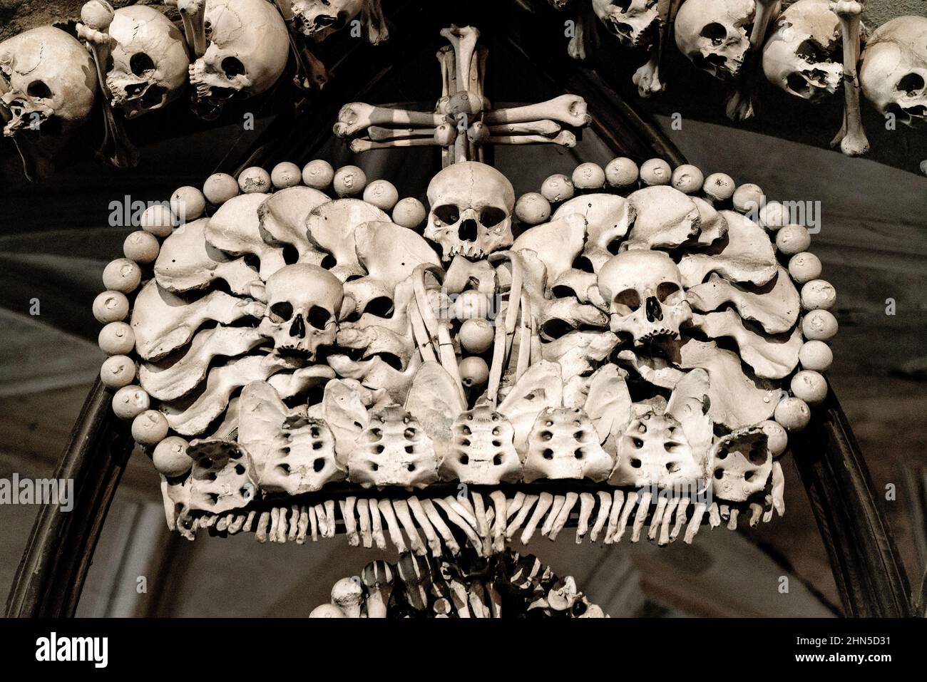 Medieval anatomy face hi-res stock photography and images - Alamy