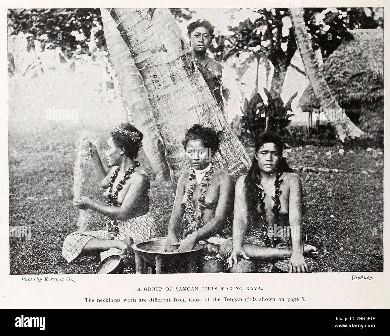 Samoan Girls making kava from The living races of mankind : a popular ...