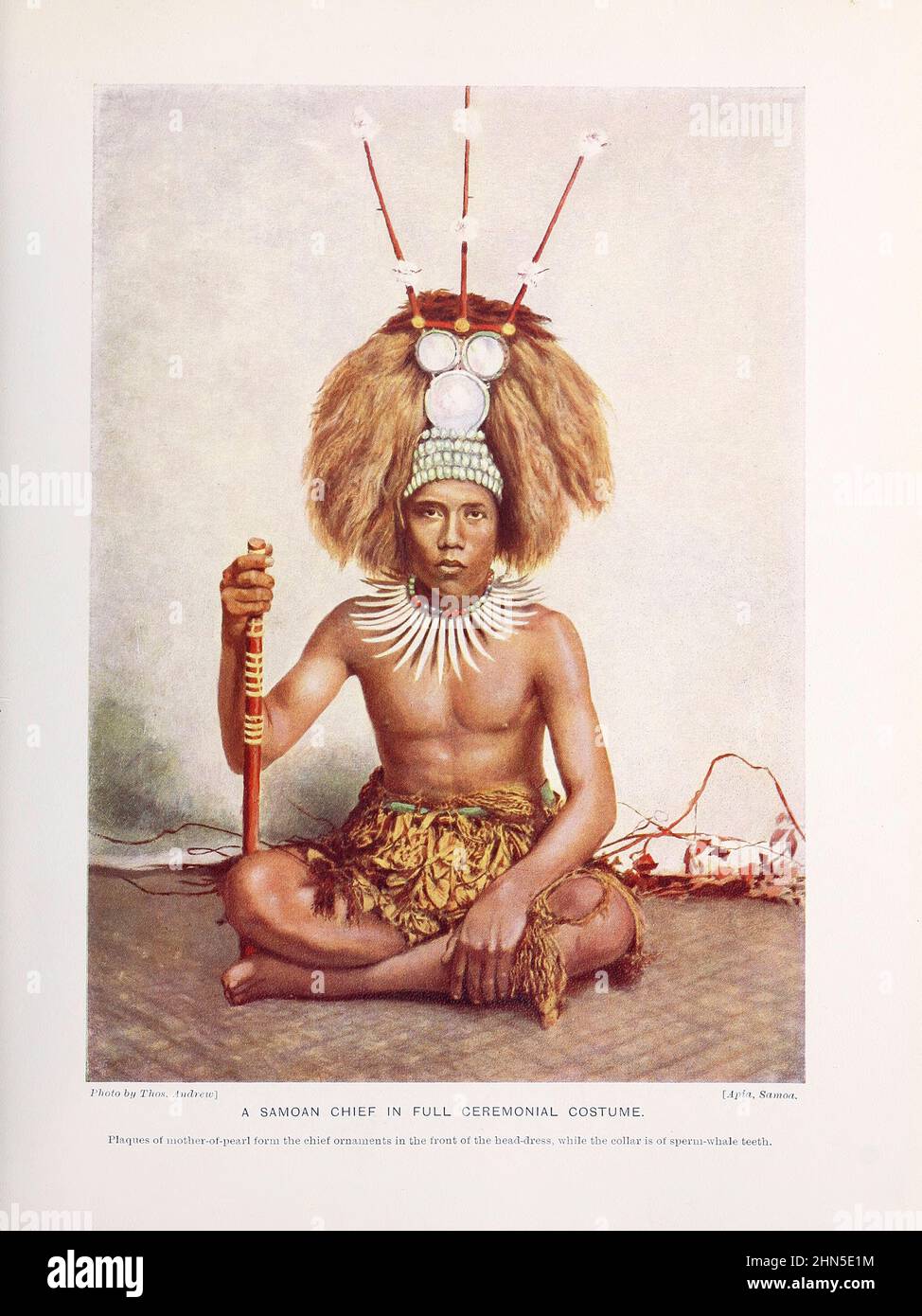 Samoan Chief in full ceremonial Costume from The living races of ...