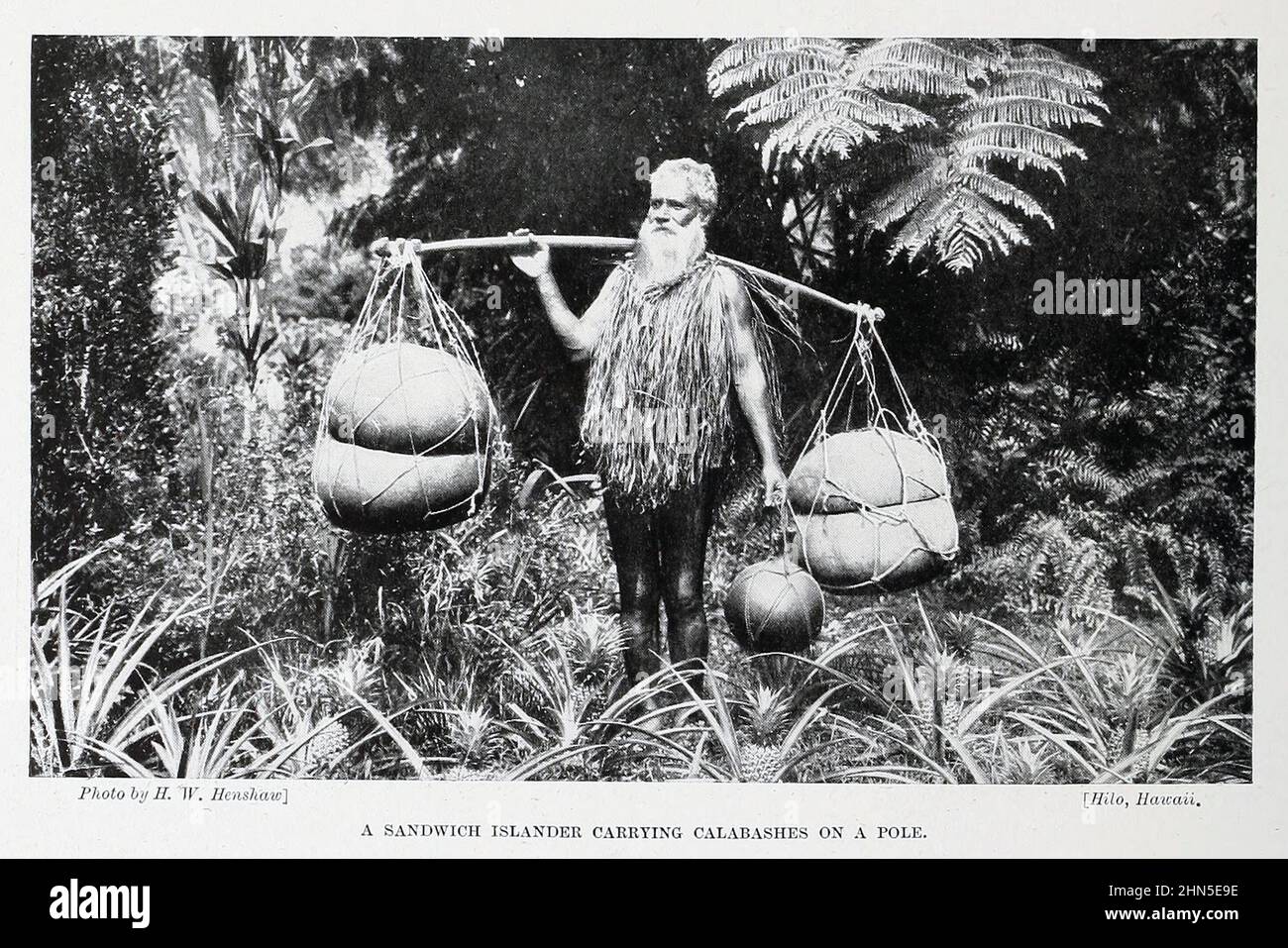 Indigenous pacific islander hi-res stock photography and images - Alamy