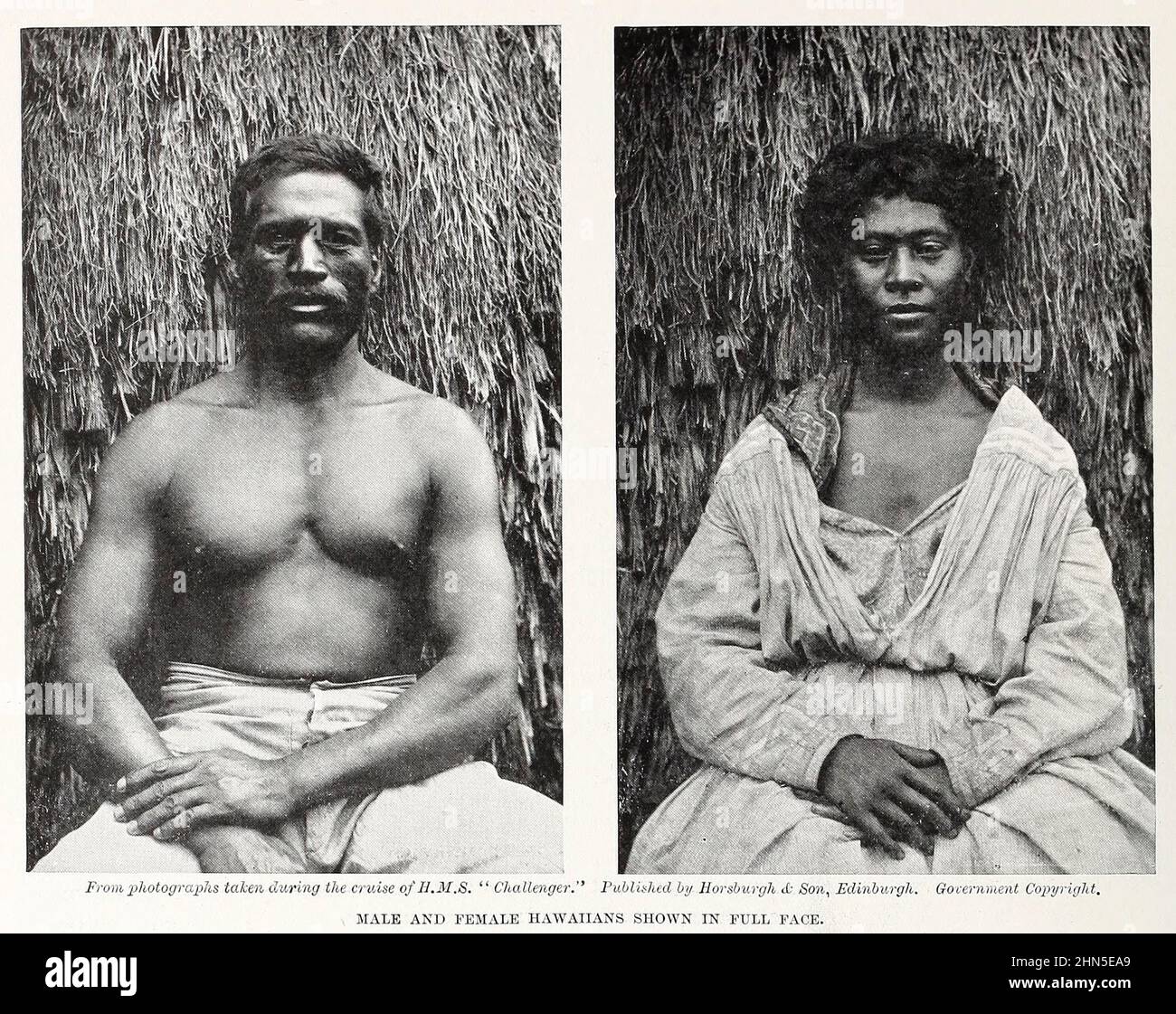 Native hawaiian male hi-res stock photography and images - Alamy