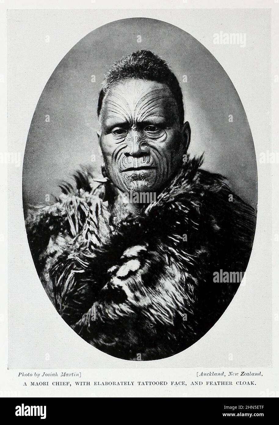 Maori ceremonies hi-res stock photography and images - Alamy