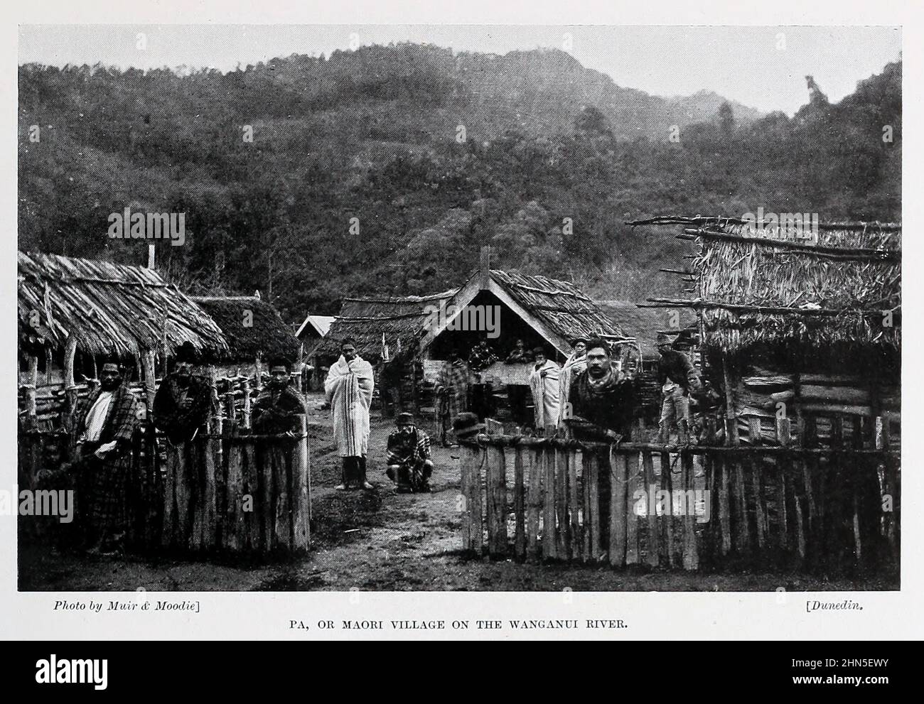 Maori race hi-res stock photography and images - Alamy