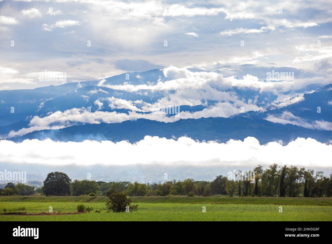 Sugar cane field and the majestic mountains at the Valle del Cauca ...