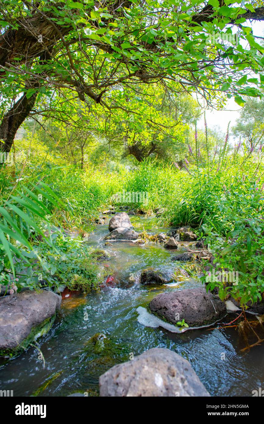 Narrow stream vertical water hi-res stock photography and images - Alamy
