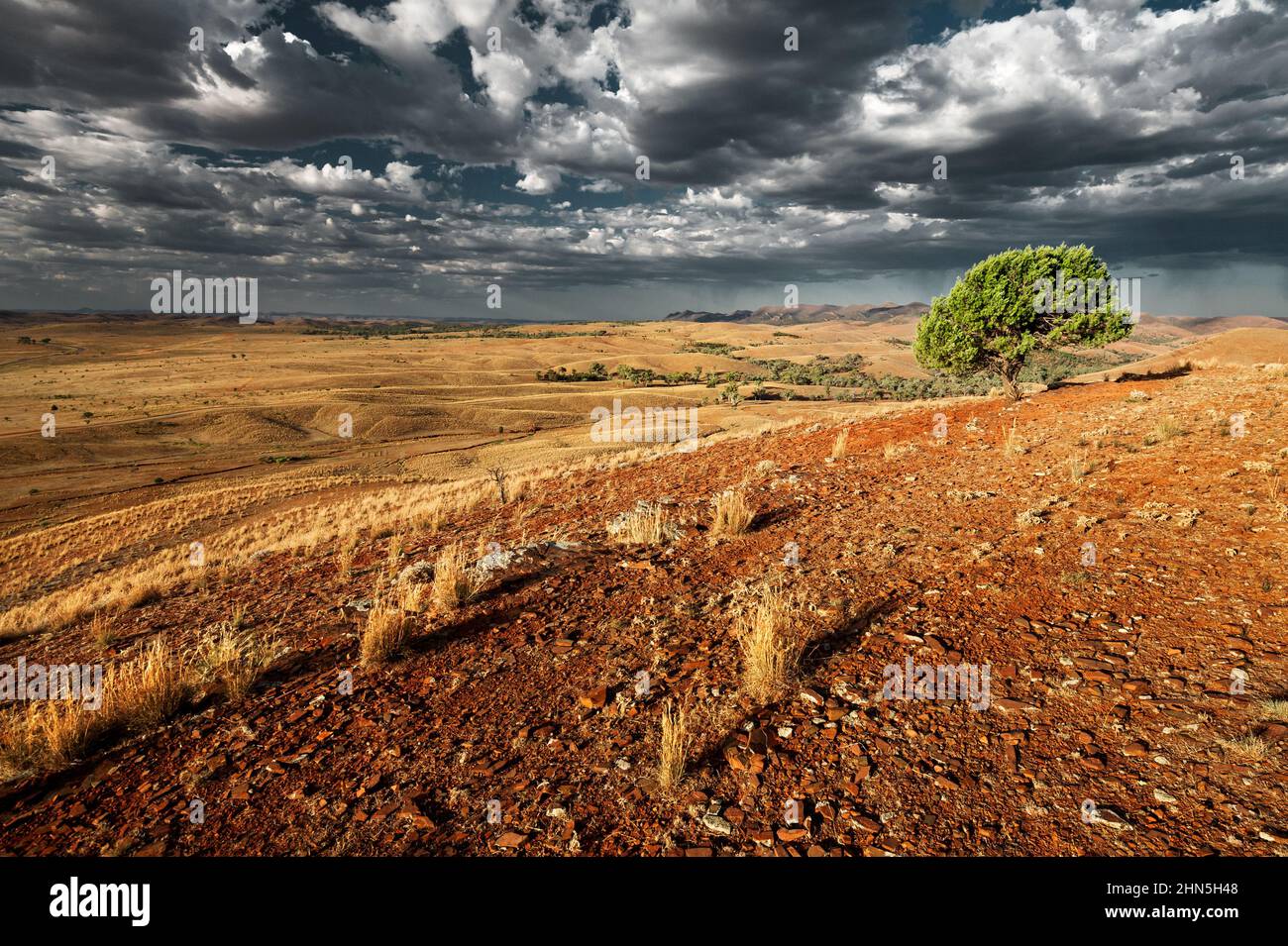 Typical australian outback scenery in Flinders Ranges Stock Photo - Alamy
