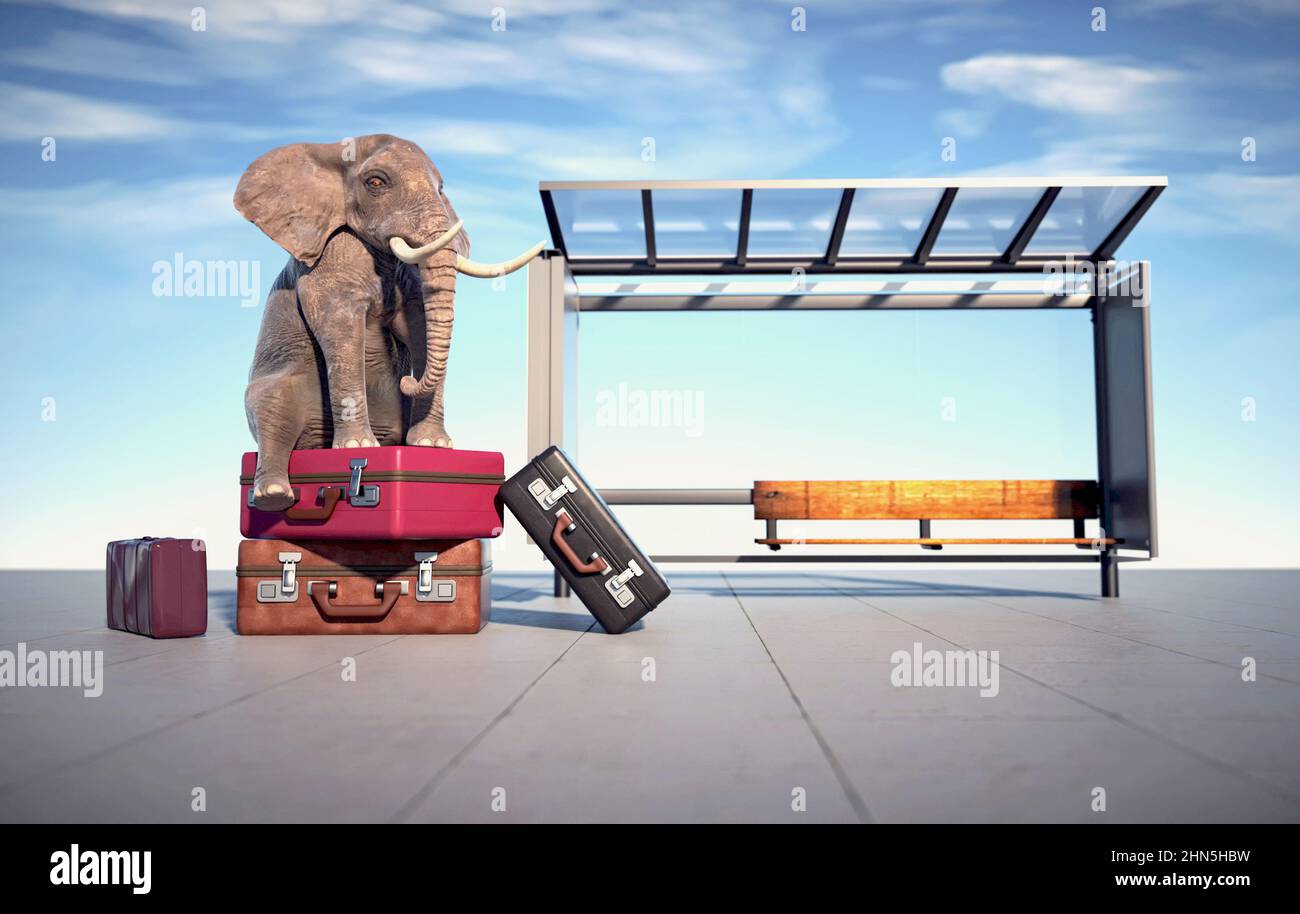 Bus stop elephant hi-res stock photography and images - Alamy