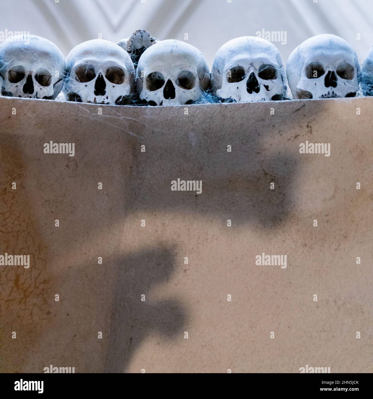 Human body bones set. Skeleton. The grave. Europe. Area of the czech ...