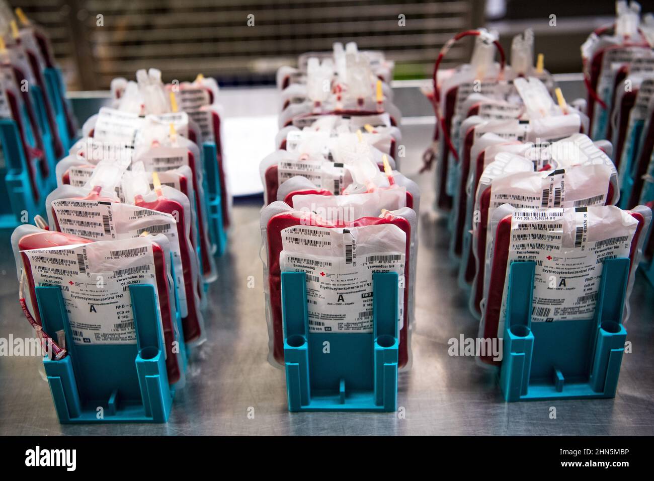 10 February 2021, Lower Saxony, Oldenburg: Blood units are stored in ...