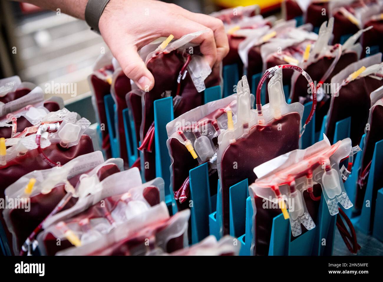 Oldenburg, Germany. 10th Feb, 2021. Blood units are stored in the cold ...