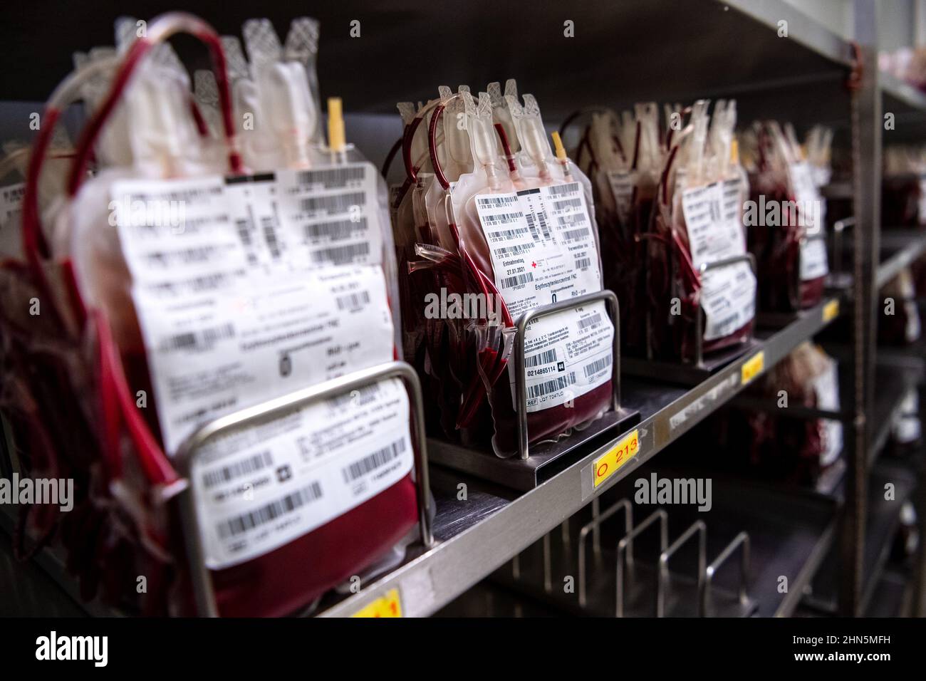 Oldenburg, Germany. 10th Feb, 2021. Blood units are stored in the cold ...