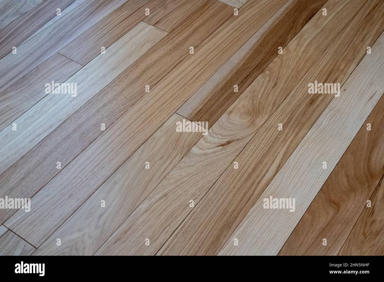 Natural Hickory Wood floor panels photographed from above Stock Photo ...