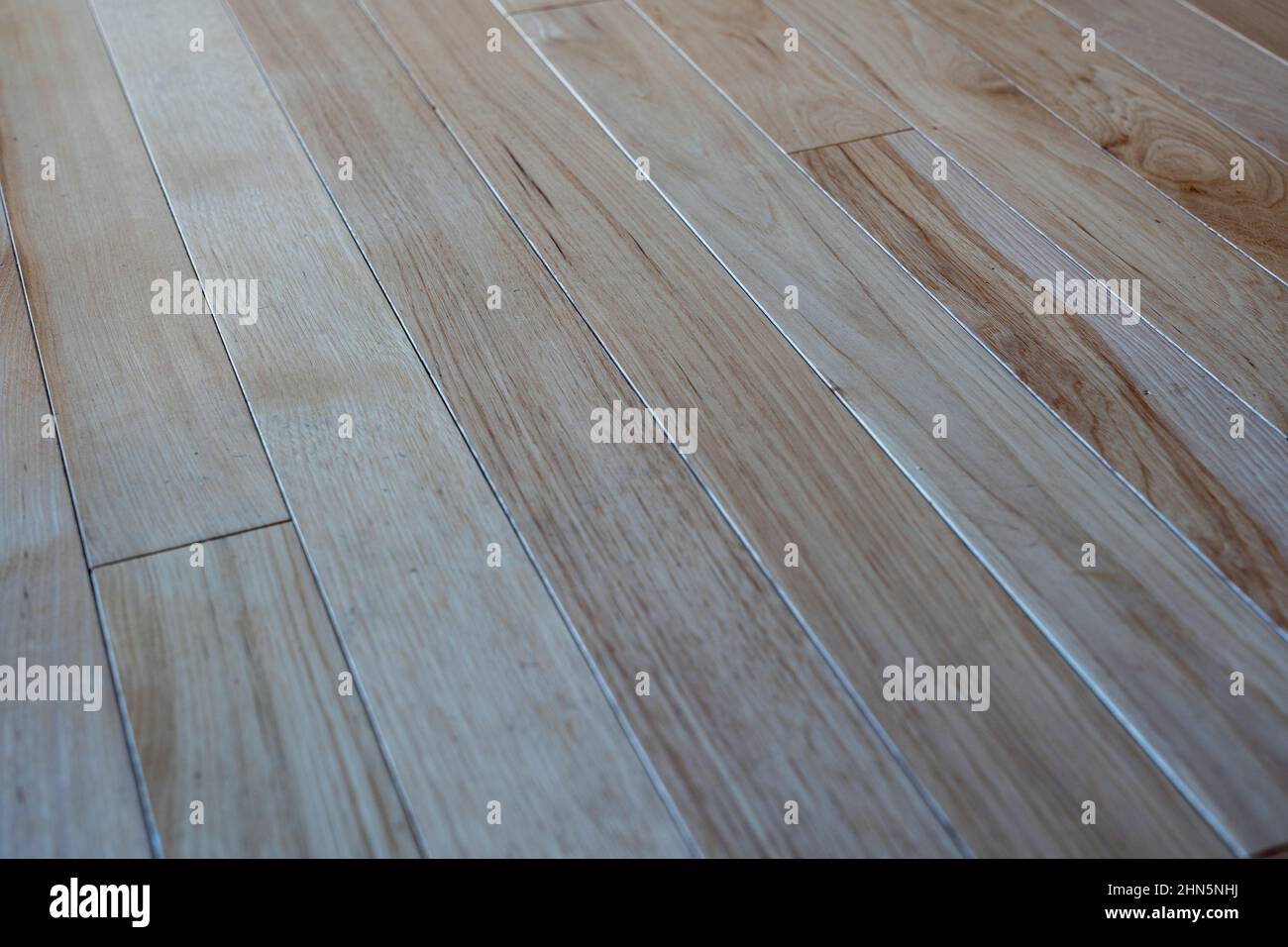 Natural Hickory Wood floor panels photographed from above Stock Photo ...