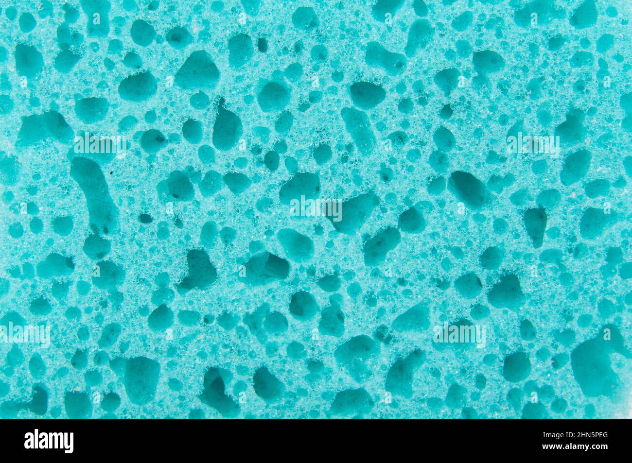 Blue sponge for shower wisp isolated on the white background Stock ...