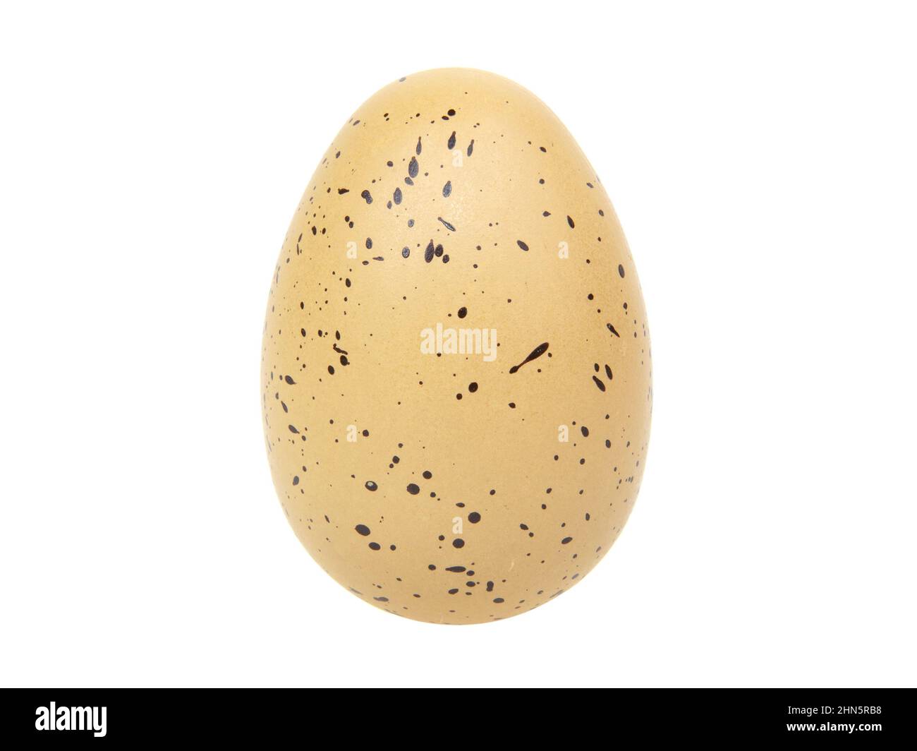 Chicken egg in dots for easter isolated on the white background Stock ...