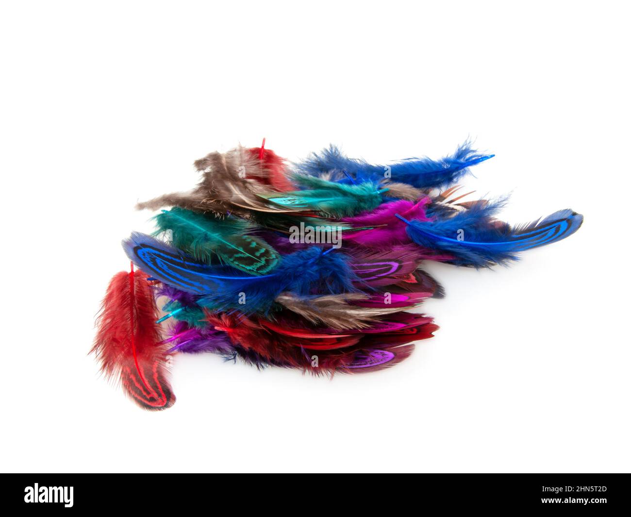 Decorative colorful pheasant bird feather isolated on the white ...