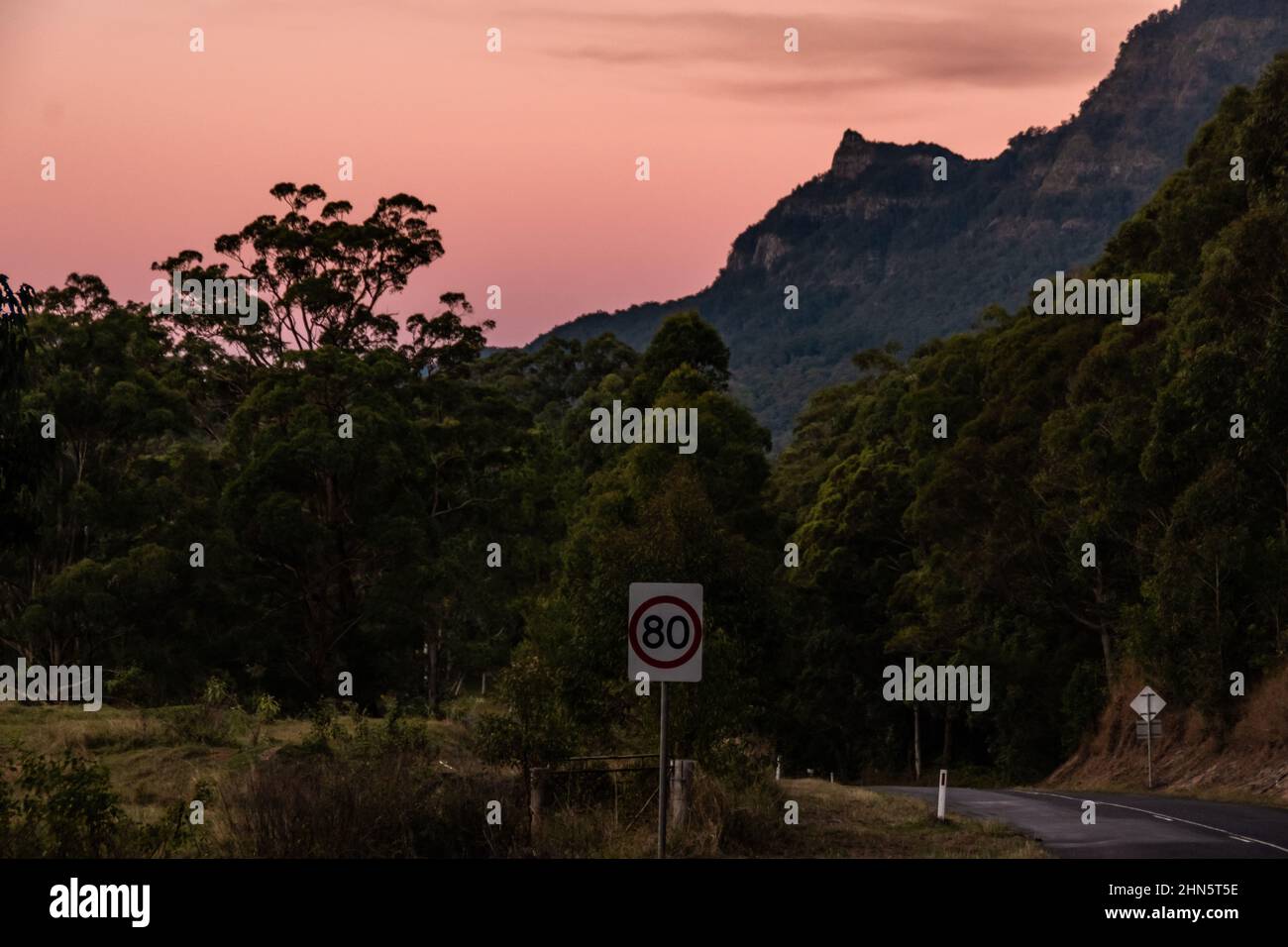 Wildlife pink hi-res stock photography and images - Alamy