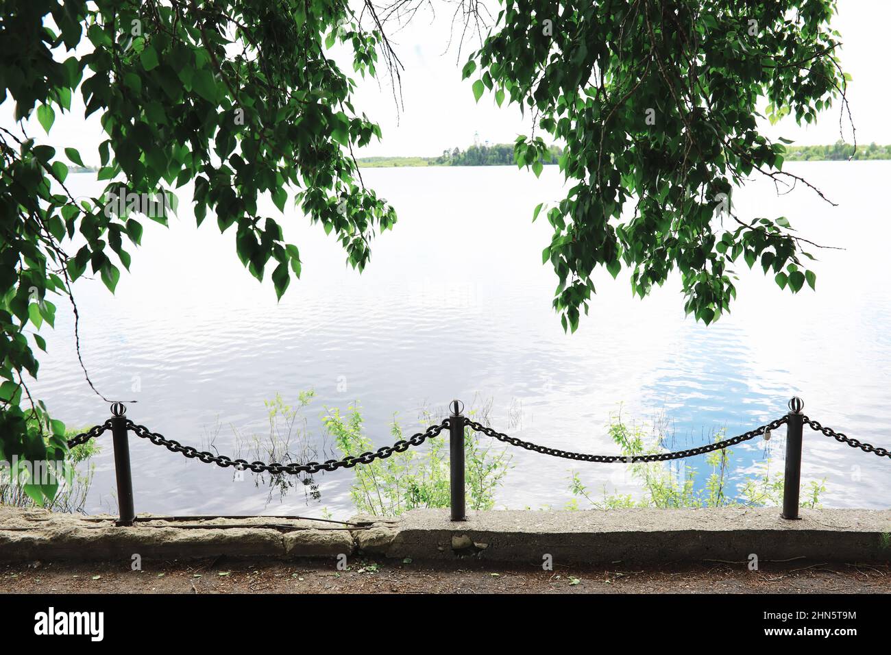 Spring nature background. Greenery trees and grasses on a sunny spring ...