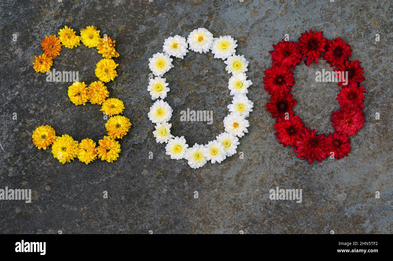 Number 300 hi-res stock photography and images - Alamy