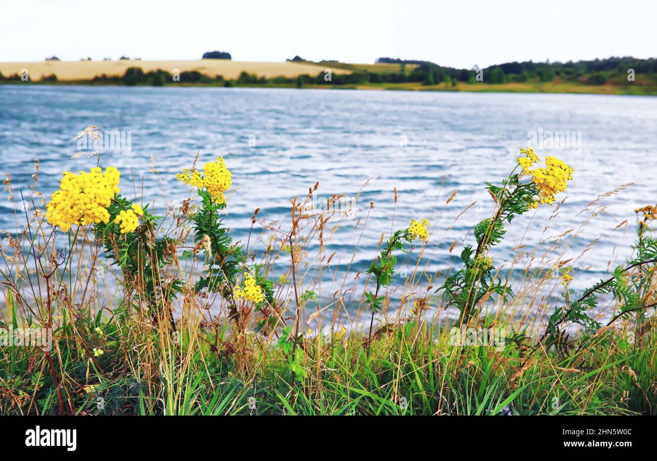 Water surface. The texture of the water. Waves on the lake windy ...