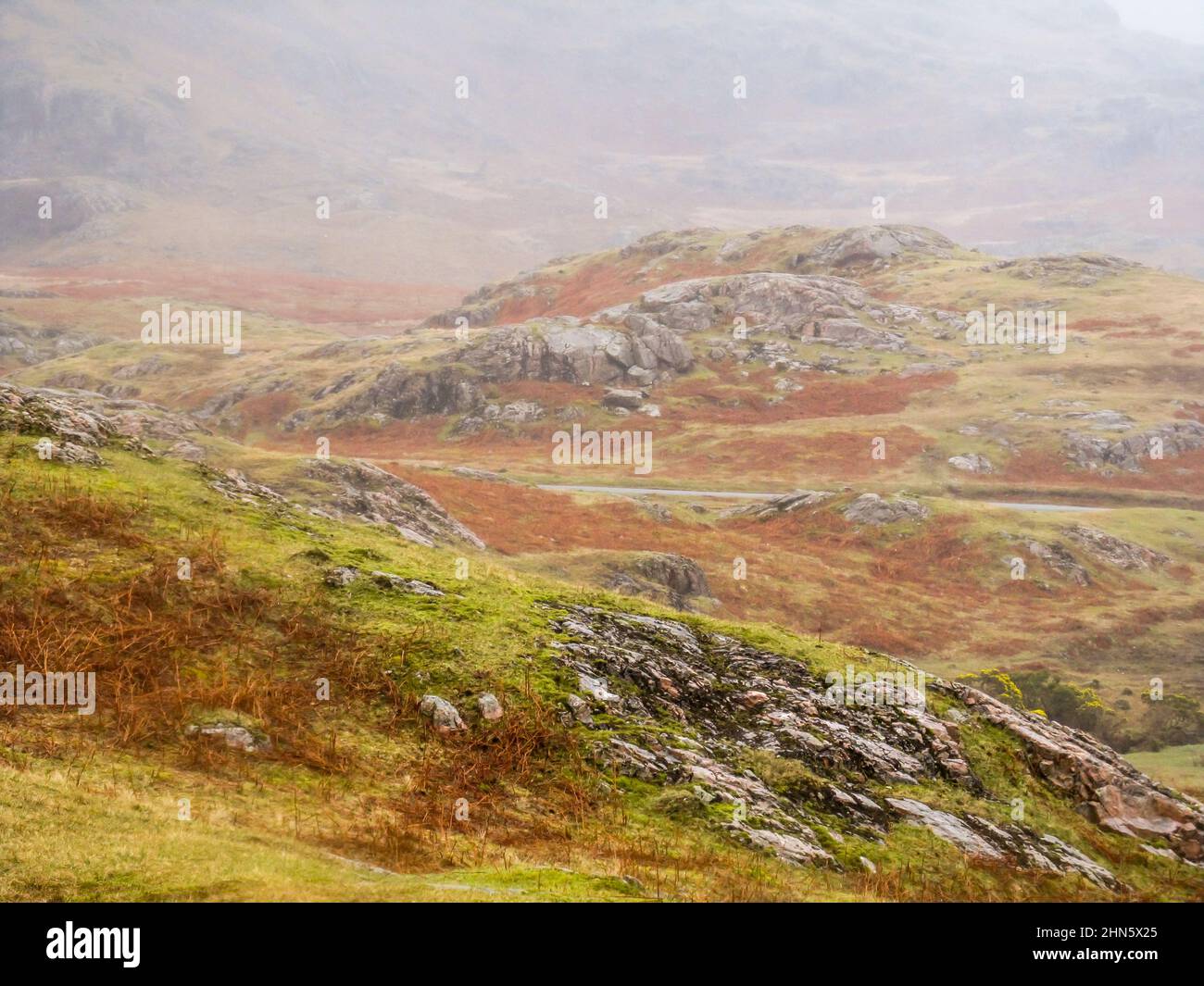 The Wasdale Screes, covered in the richly colored alpine grassland on a ...