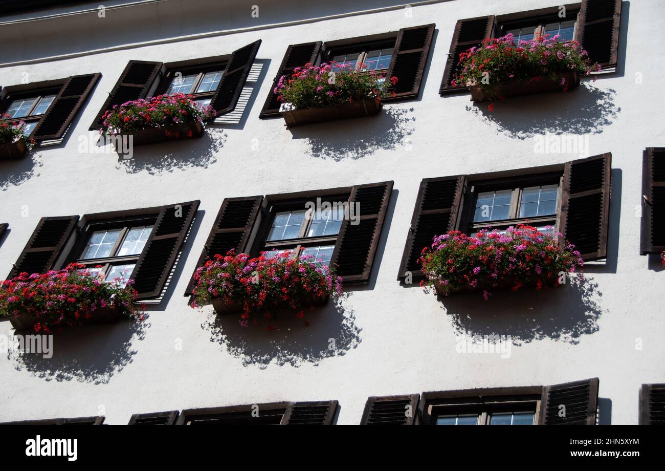 Traditional Austrian windows on white wall with colorful flower boxes ...