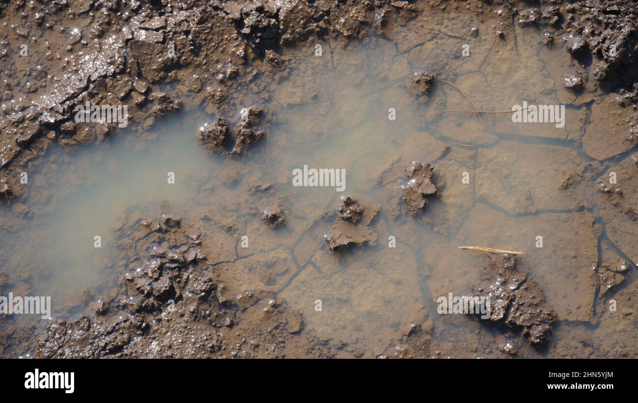 A way in the mud and puddles on the dirty road. Mud puddles after rain ...