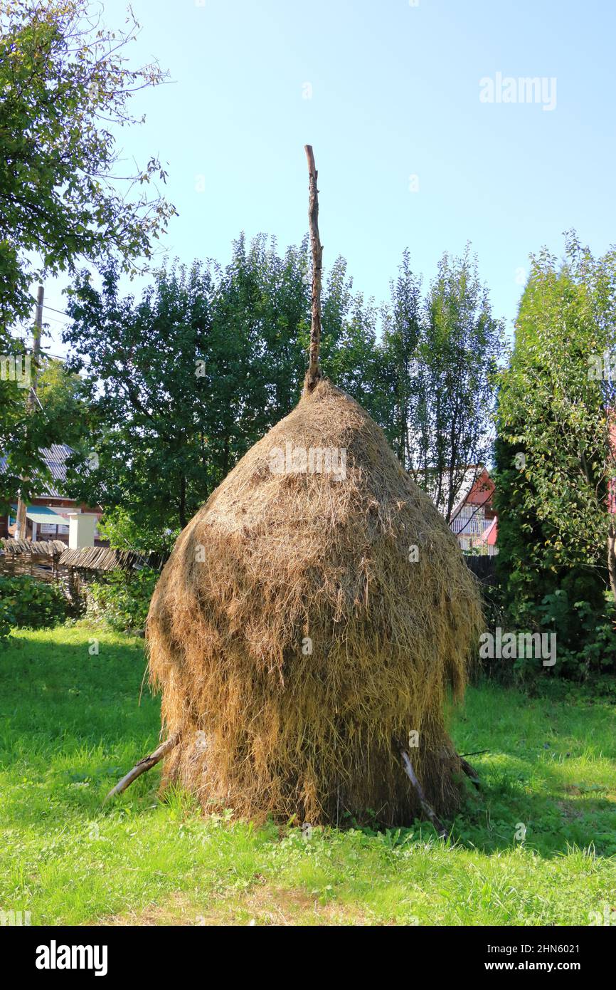 Haystacks in the Mountains in Romania Stock Photo - Alamy