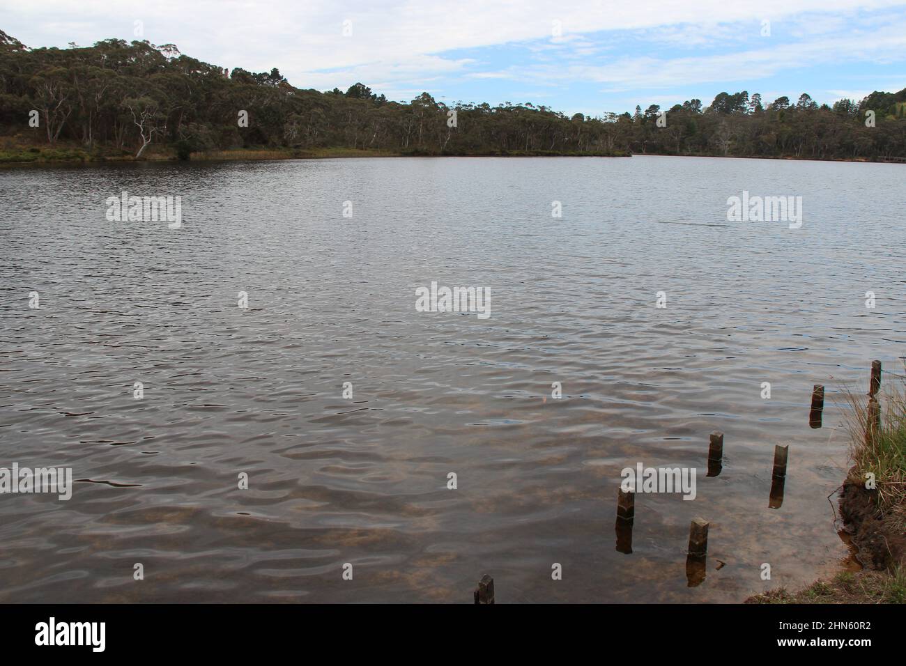wentworth lake at blue mountains in australia Stock Photo - Alamy