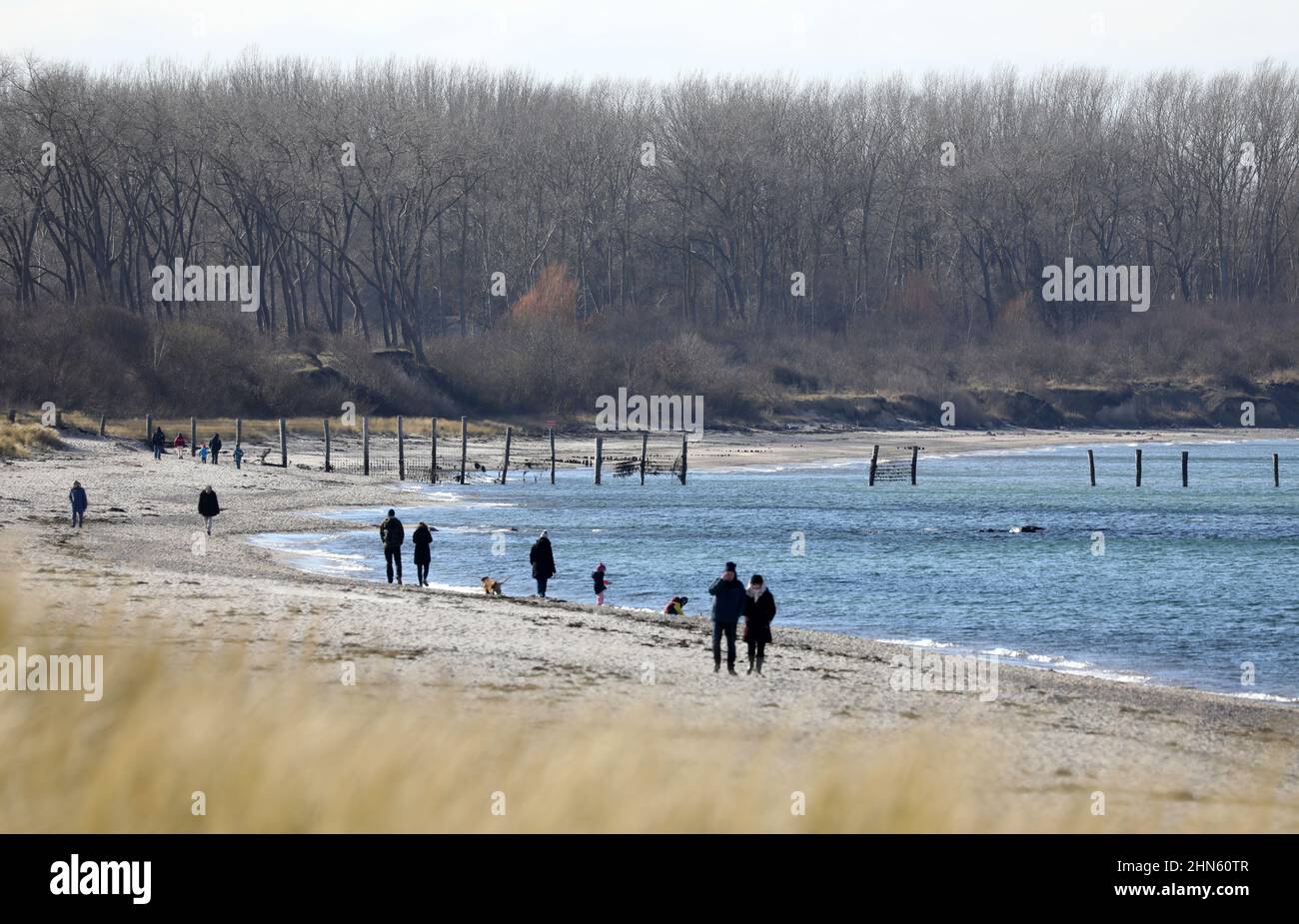 Rerik, Germany. 14th Feb, 2022. Beachgoers enjoy the sunny weather on ...