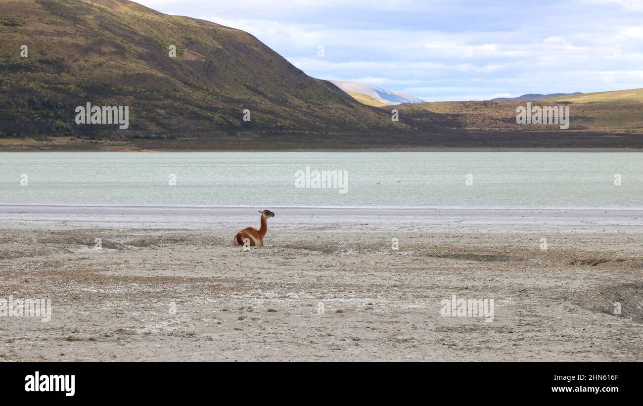 View of the Amarga lagoon, Chile Stock Photo - Alamy