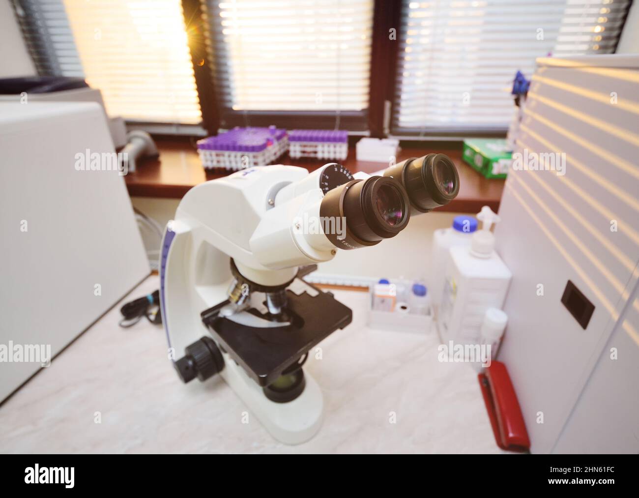 a medic or scientist examines bacteria in a microscope Stock Photo - Alamy