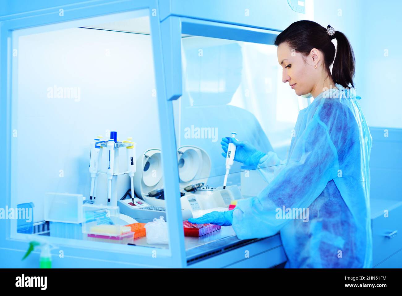 female scientist works in a sterile genetic or bacteriological ...