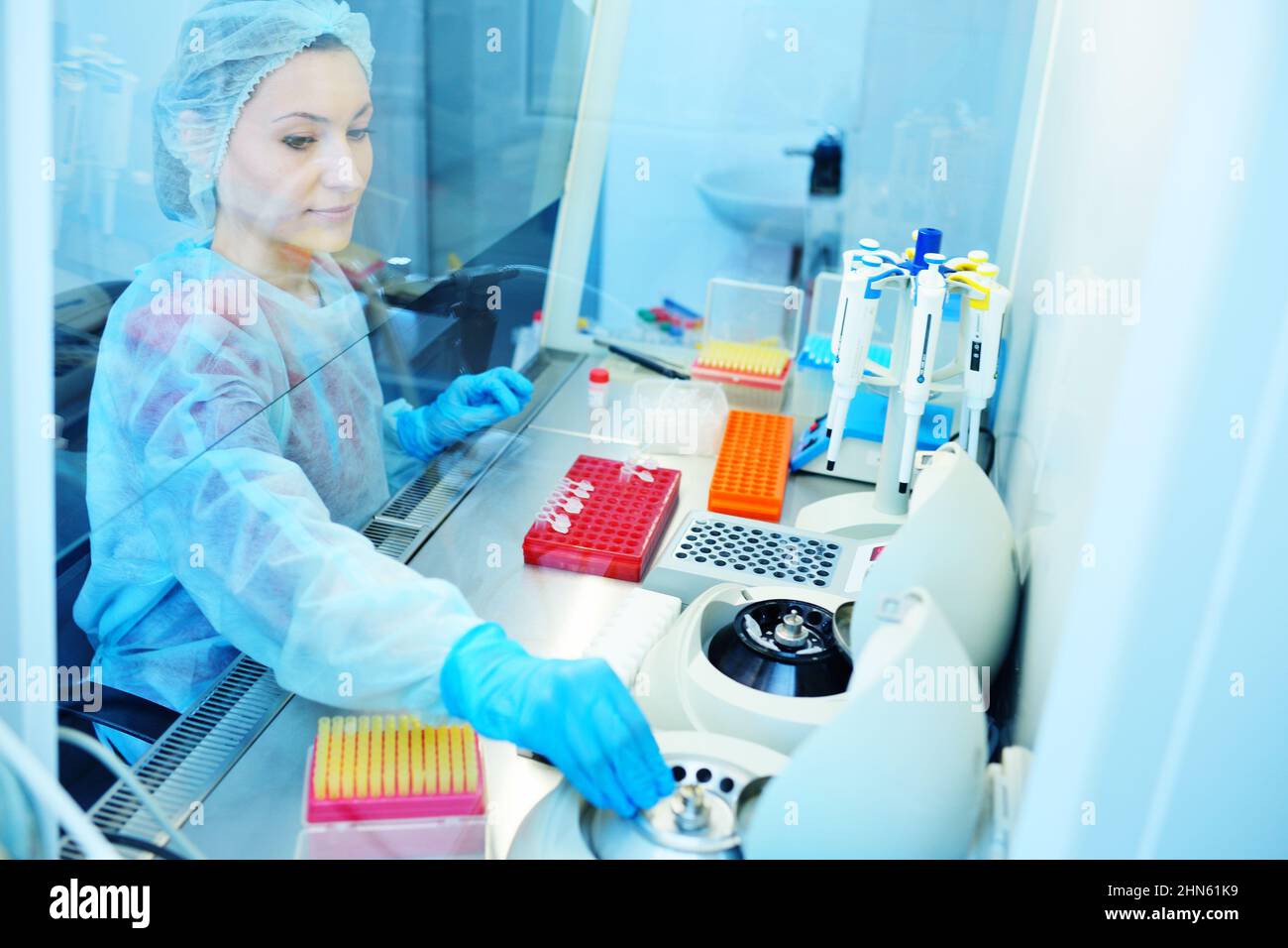 female scientist works in a sterile genetic or bacteriological ...