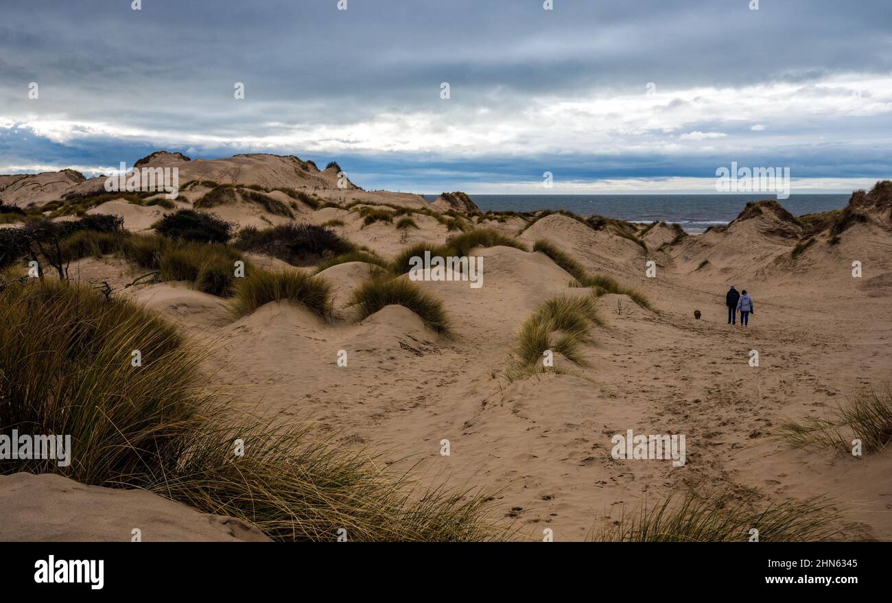 A couple take their dog for a walk on Formby beach, Merseyside, UK ...