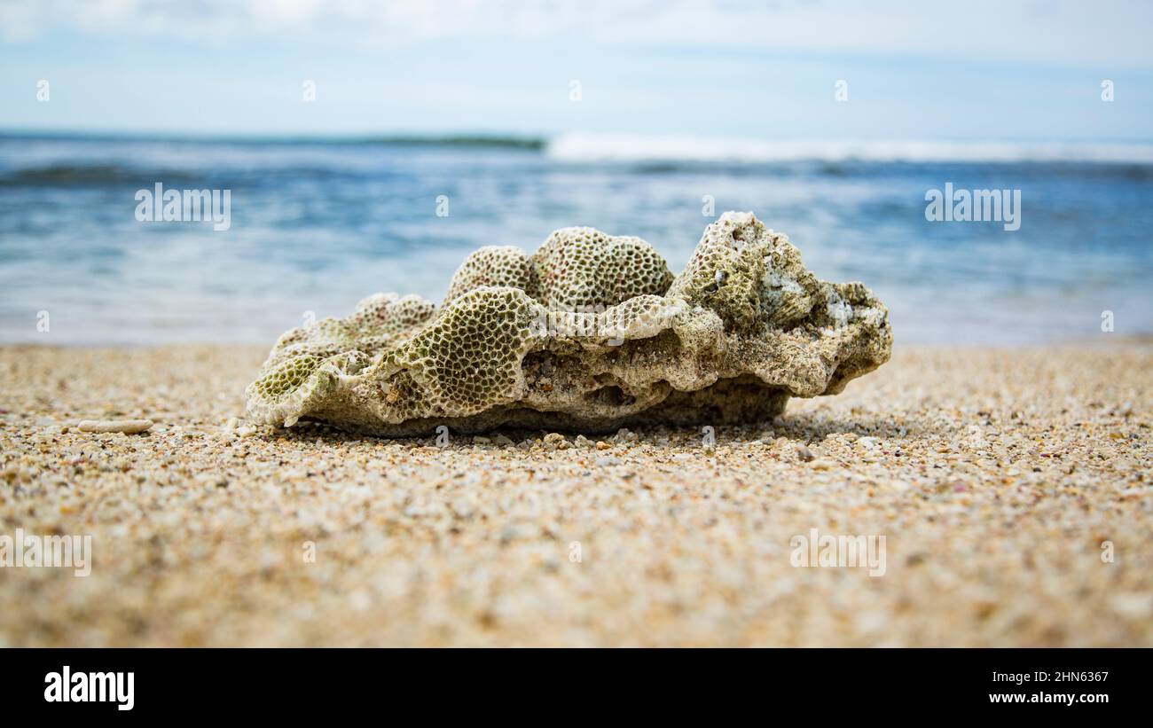 Pulmoddai hi-res stock photography and images - Alamy