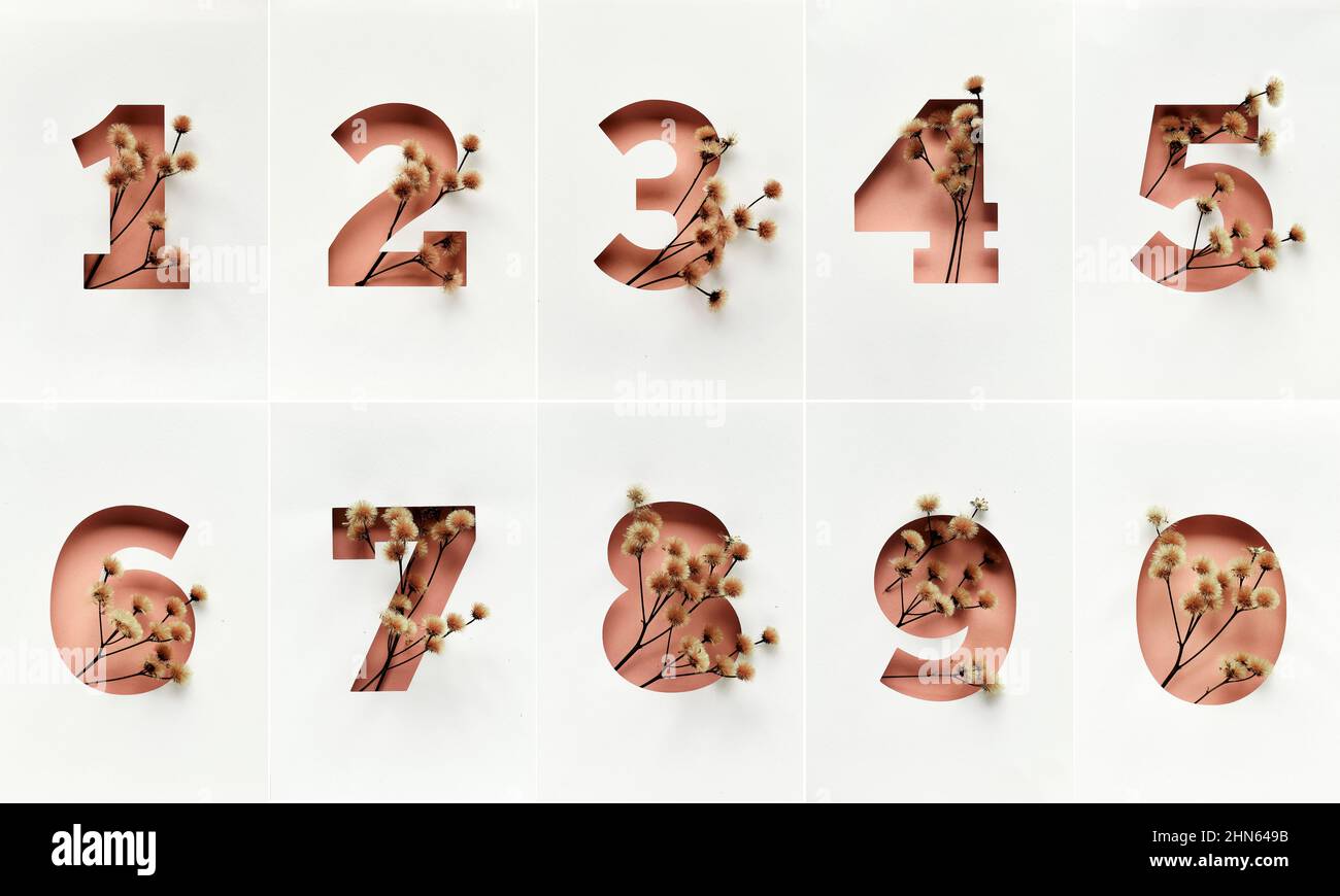 Beige cut out number shapes with dry grass, flowers. Numbers one to ten ...